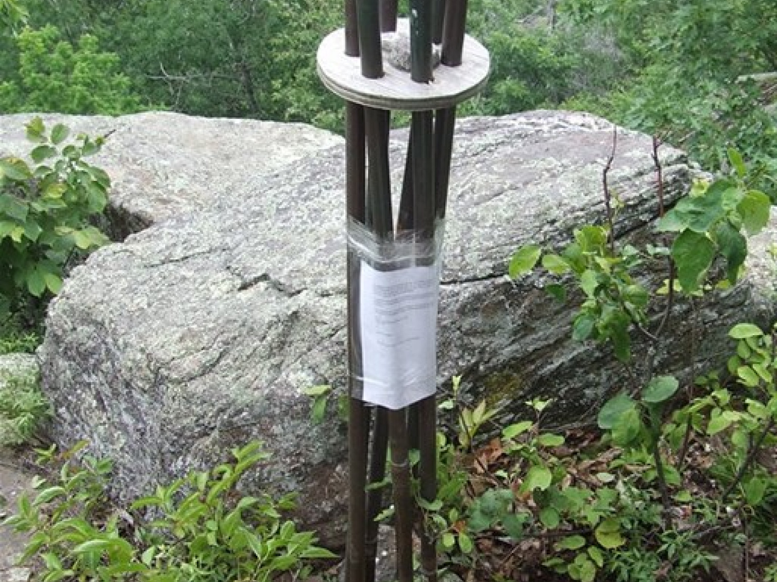 Visible effects of our orgone generators
