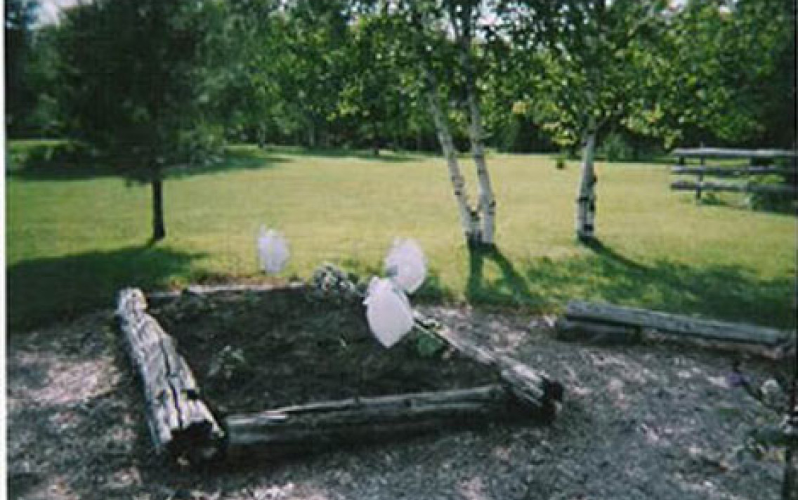 Visible effects of our orgone generators